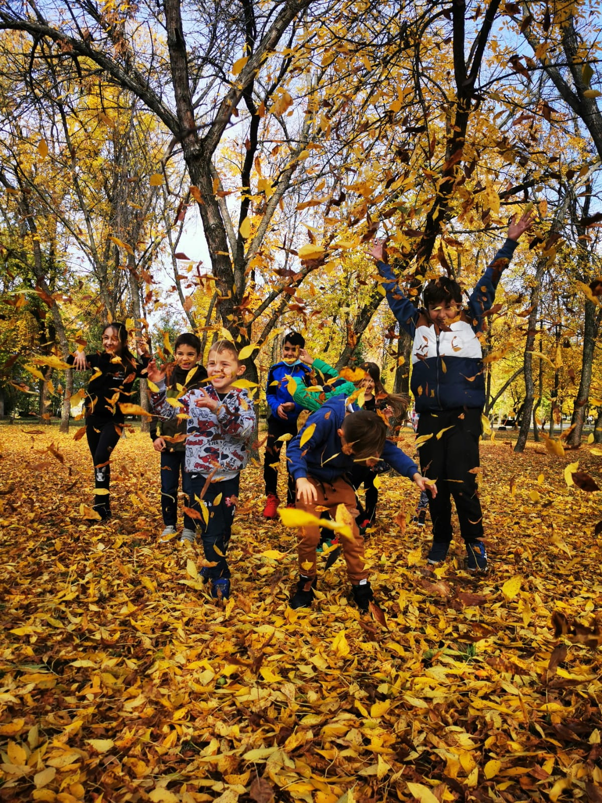 After School I-Kids | Gradinite Bucuresti